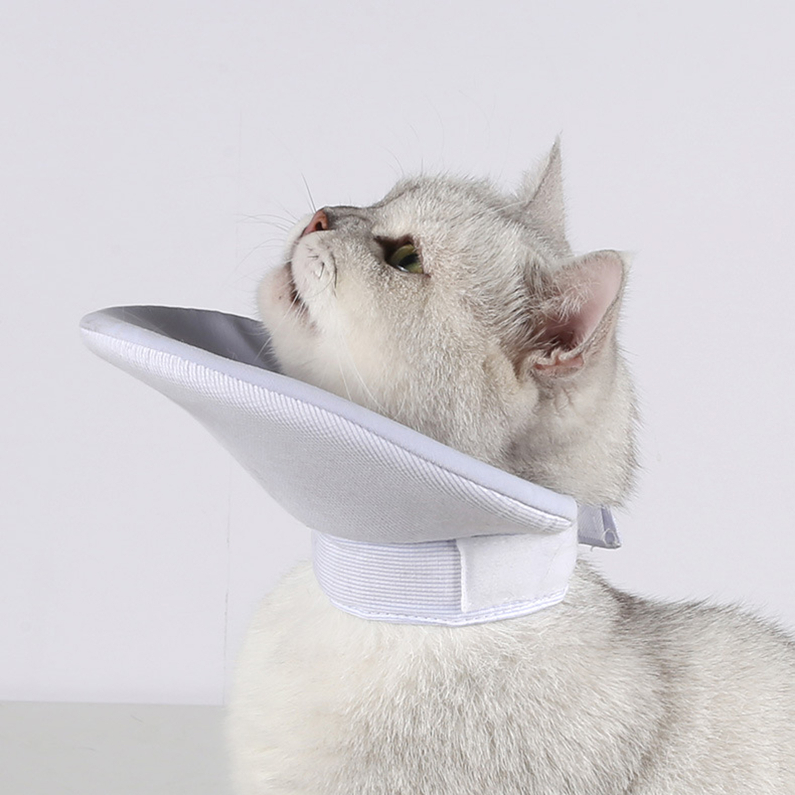 Cat Neck Cone Protective Anti-bite Soft Pet Recovery Protective Cone ...