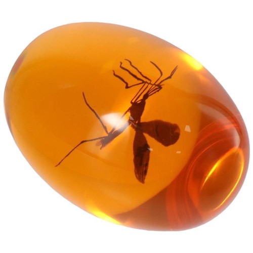 Amber Desk Accessories 3D Figurines Paperweight Paperweights Home Decor ...