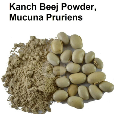 Kauch Seed Churna Kanch Beej Powder Mucuna Pruriens Powder 100gm (3.5 ...