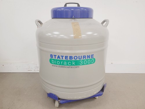 Statbourne Biorack 3000 Liquido Azoto Campione Conservazione Dewar ...