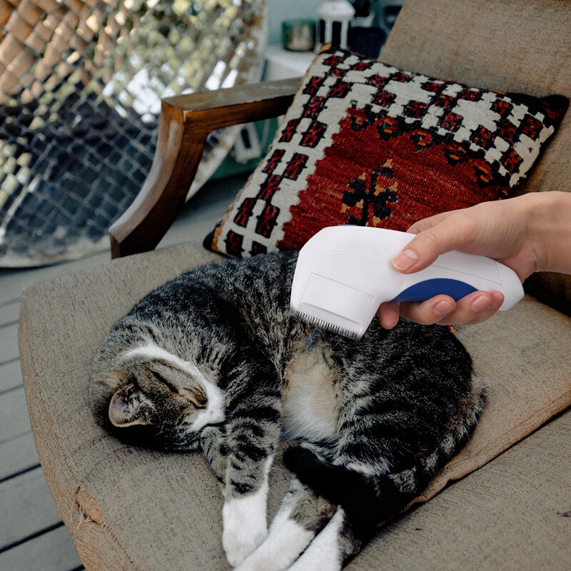 2x Flea Remover Comb Electric Dog Anti Flea Comb Head Lice Pets Cat ...