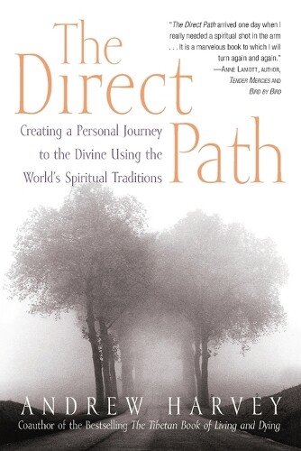 Andrew Harvey The Direct Path (Taschenbuch) 9780767903004 | eBay