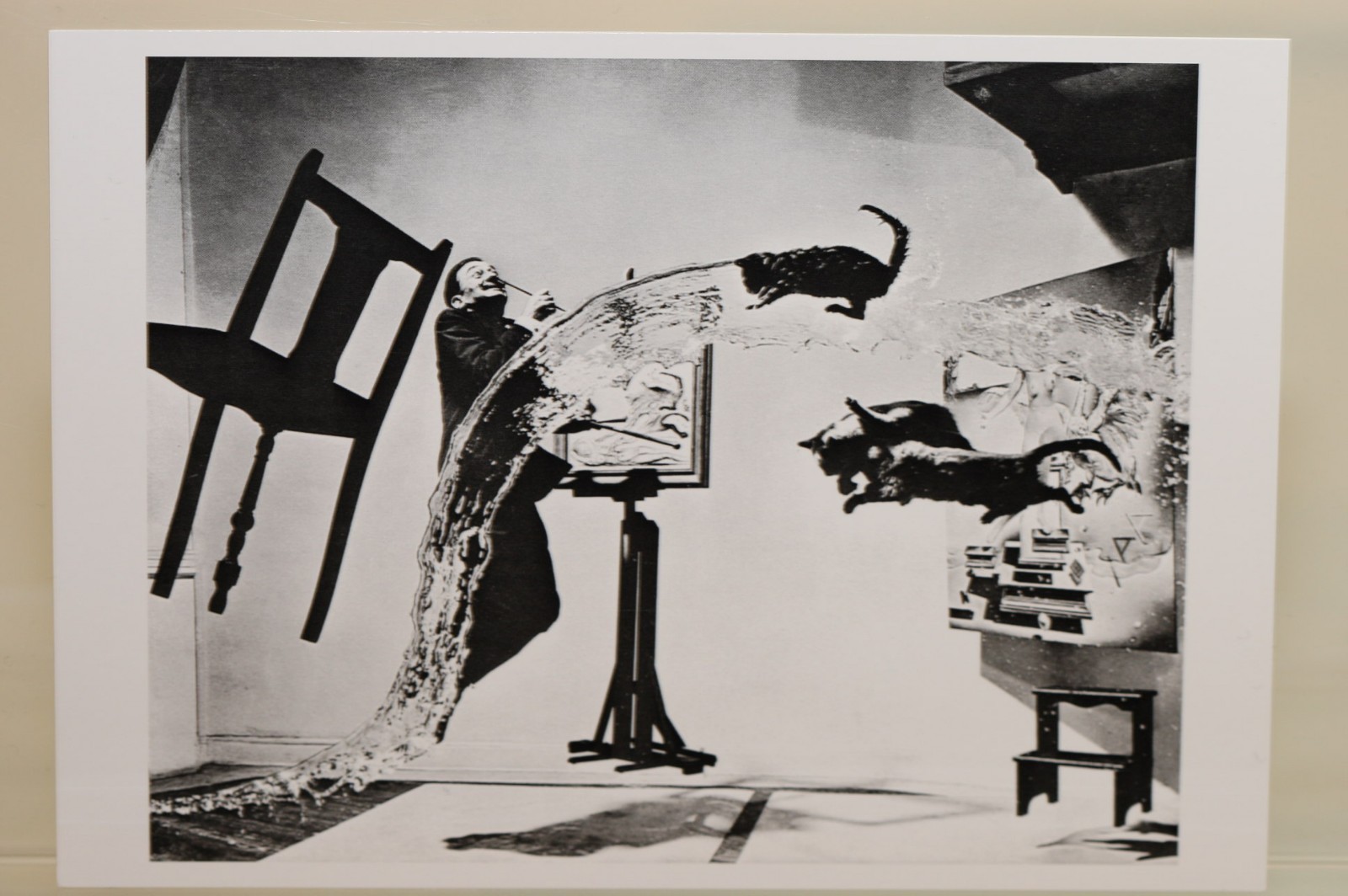 SALVADOR DALI : DALI ATOMICUS, 1948 by PHILIPPE HALSMAN Art-Postcard ...