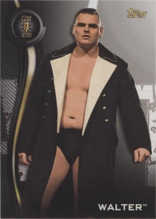 2019 Topps WWE NXT - Roster Walter #47 (RC) for sale online | eBay