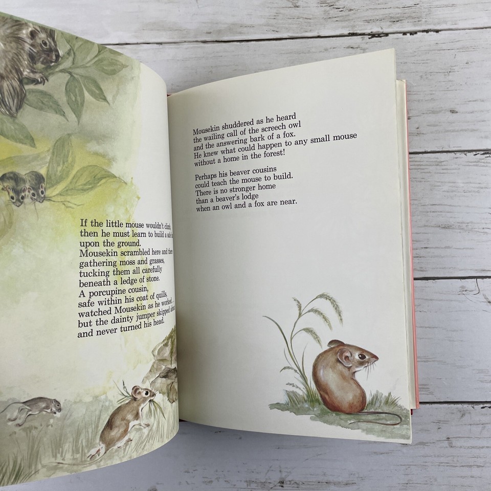 Mousekin's Family Edna Miller Vintage Hardcover Illustrated Nature ...