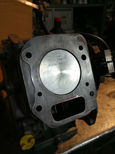 Rebuilt Briggs & Stratton Animal 206 kart mini bike engine | eBay