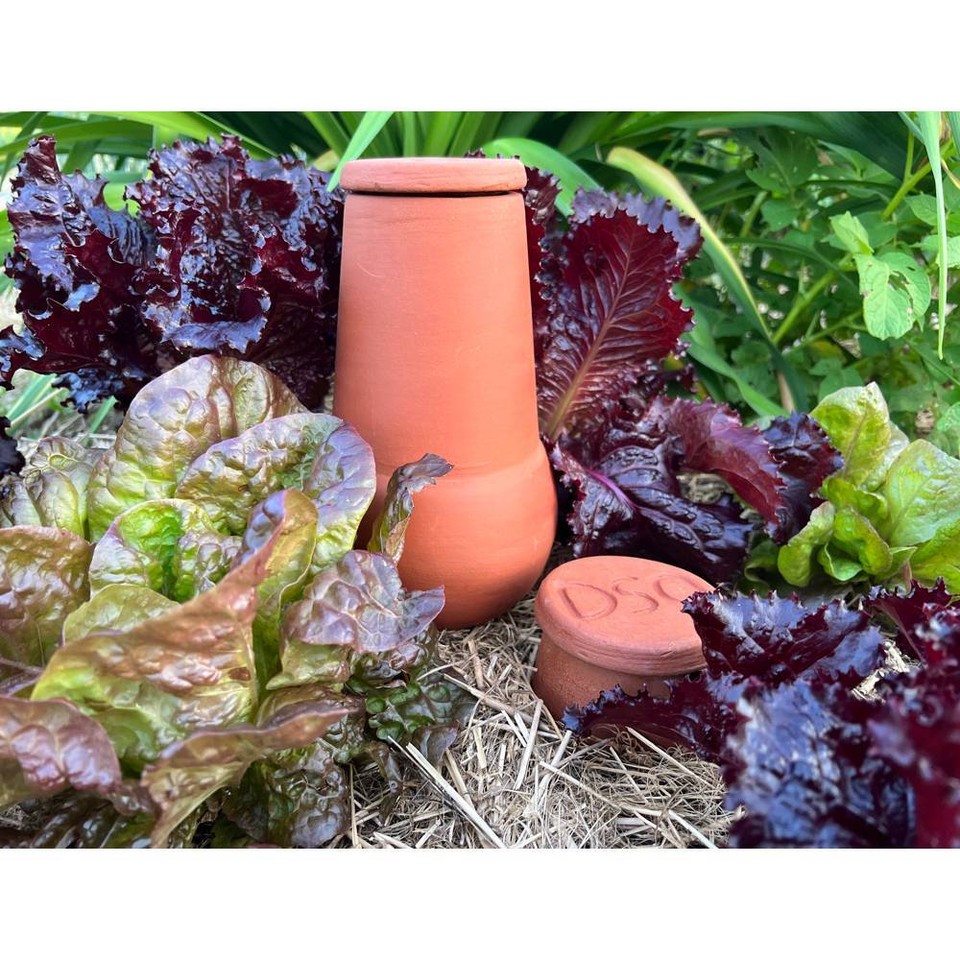 Dripping Springs OLLAS Medium Clay Watering Pot, Clay Garden Irrigation ...