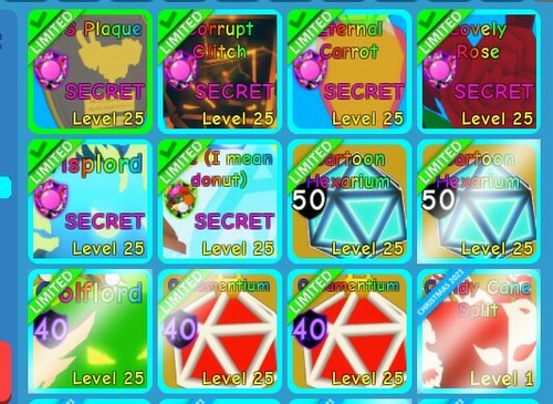 Bubble Gum Simulator - Ace Secret Pet BGS Virtual Pet Quick Delivery ...