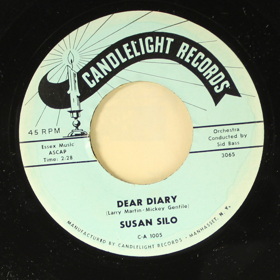 SUSAN SILO: dear diary / don't ever cheat CANDLELIGHT 7" Single 45 RPM ...