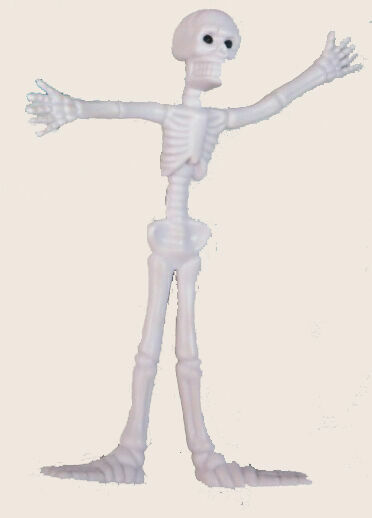 Flexible Skeleton Bendy Skelly Bendable Spooky Toy White for sale ...