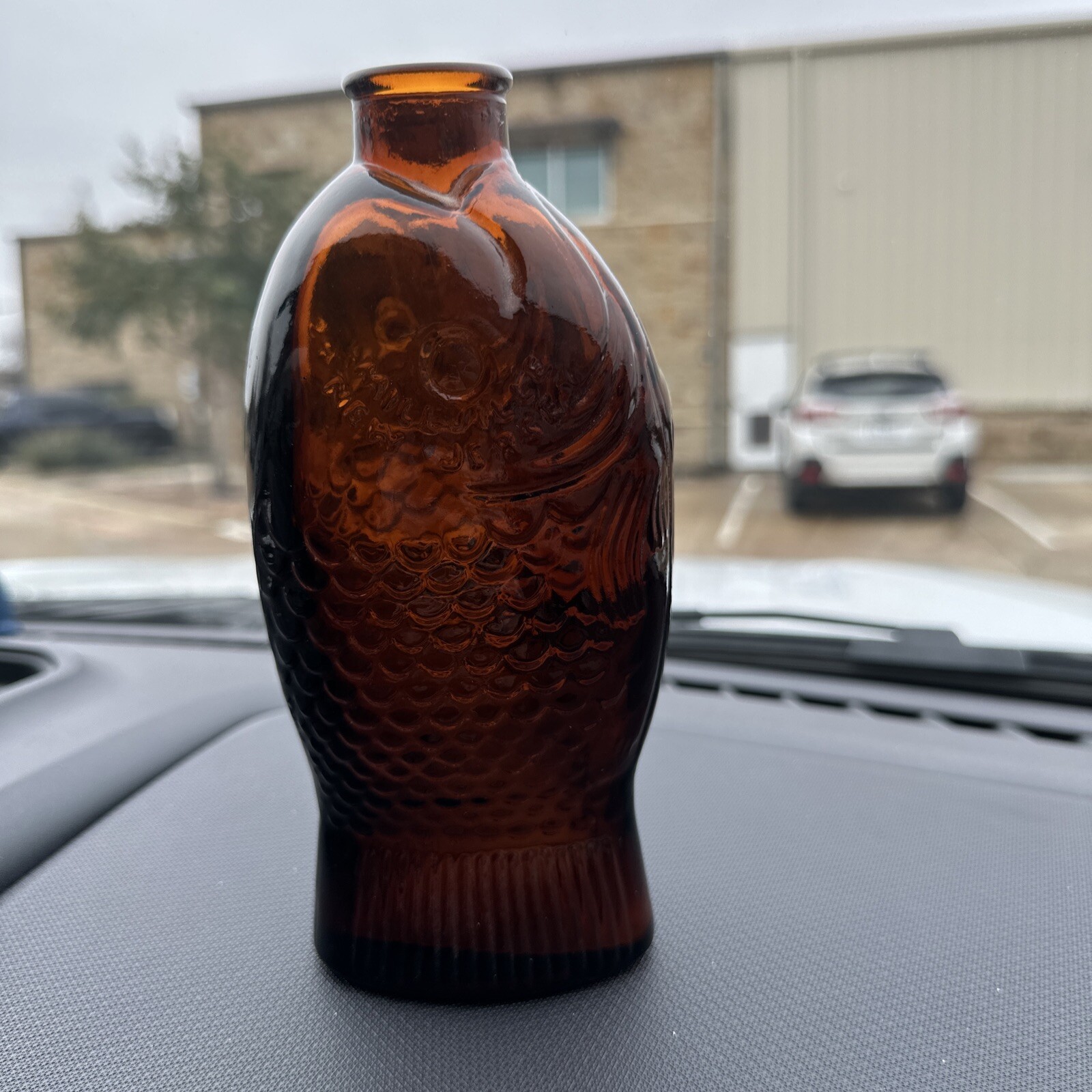 VTG Dr Fisch’s Bitter Cod Liver Oil Amber Fish Bottle 7.5”H Great art ...