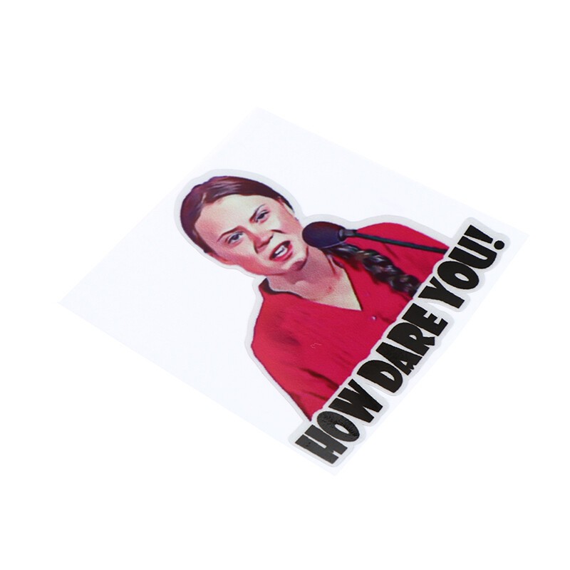 2pcs 8*8cm How Dare You Greta Thunberg Vinyl Decal Sticker Window Truck ...