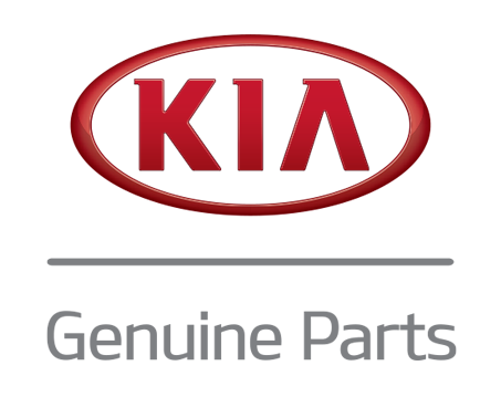GENUINE KIA 06-10 Optima FRONT INTERIOR RH PASSENGER DOOR HANDLE 82620 ...