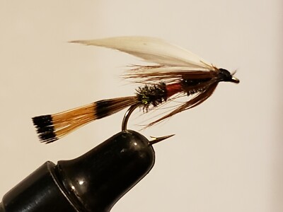 Dry - Royal Coachman