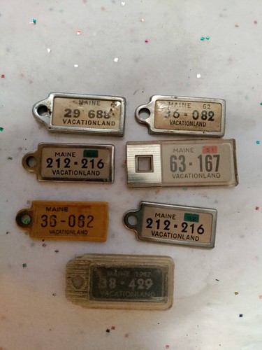 Vintage DAV Maine Miniature License Plate Key Fobs (7) | eBay