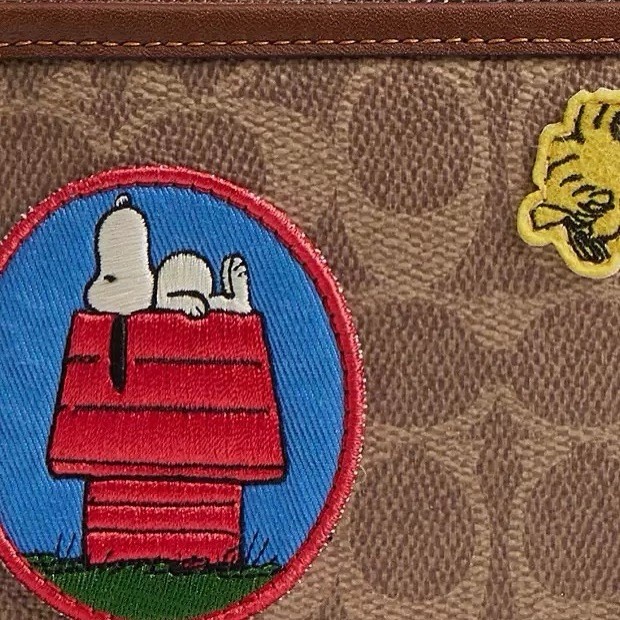 NWT Coach X Peanuts Sullivan Flap Crossbody Bag In Signature Canvas ...