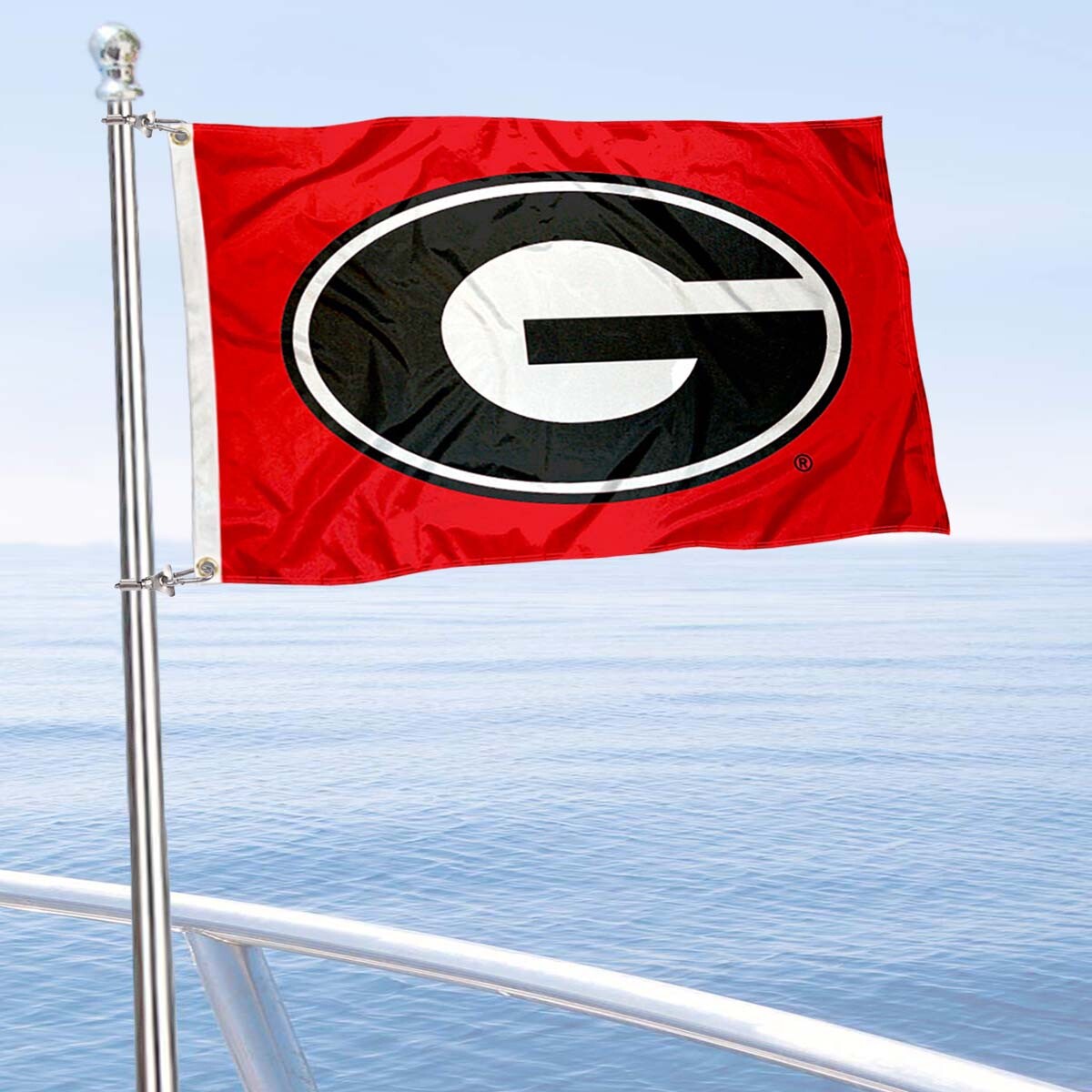 Georgia Bulldogs UGA Boat and Golf Cart Flag | eBay