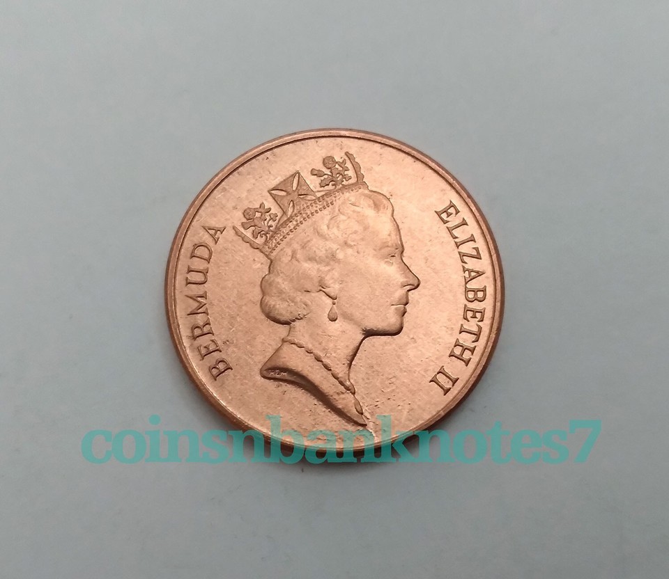 1997 Bermuda 1 Cent Coin, KM44b Uncirculated / Wild Boar | eBay