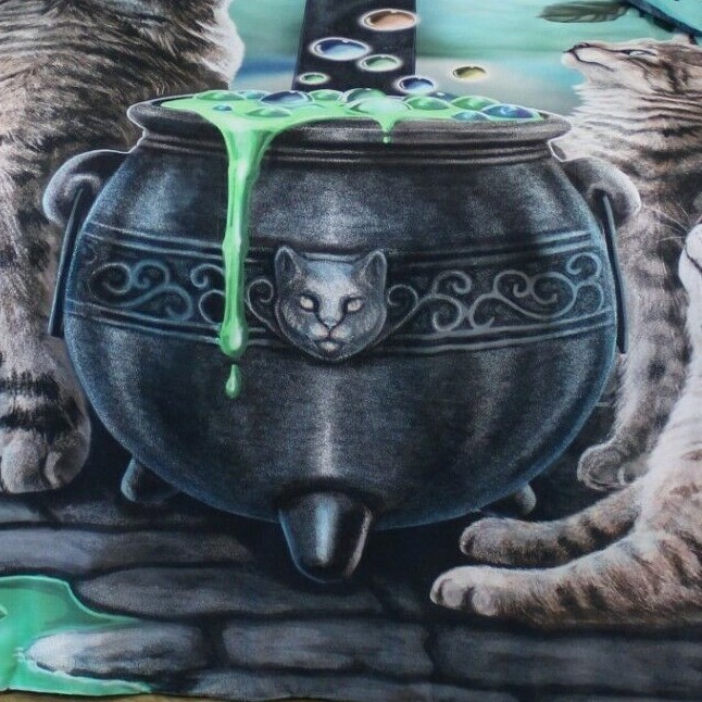 Lisa Parker Hubble Bubble Witches Cauldron Cats Teal Double Bed Duvet ...