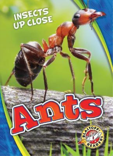 Patrick Perish Ants (Relié) Insects Up Close 9781626176577 | eBay