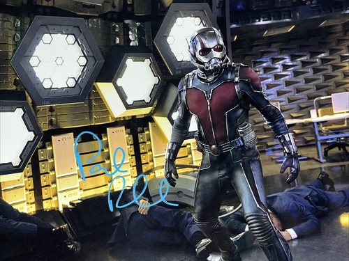 PAUL RUDD AUTOGRAPH Photograph Picture COA signed photo Marvel Movies ...