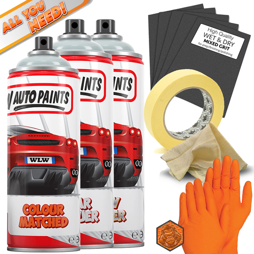 VOLKSWAGEN VW LA7W Car Spray Paint Complete Repair Kit REFLEX SILVER ...