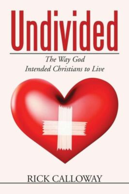 Undivided: The Way God Intended Christians to Live 9781503584983| eBay