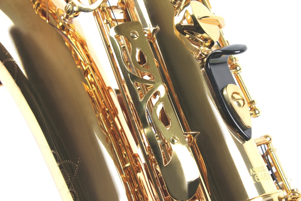 Professional ALTO SAXOPHONE Eb Sax 875 Model Gold Lacquer Real Black ...