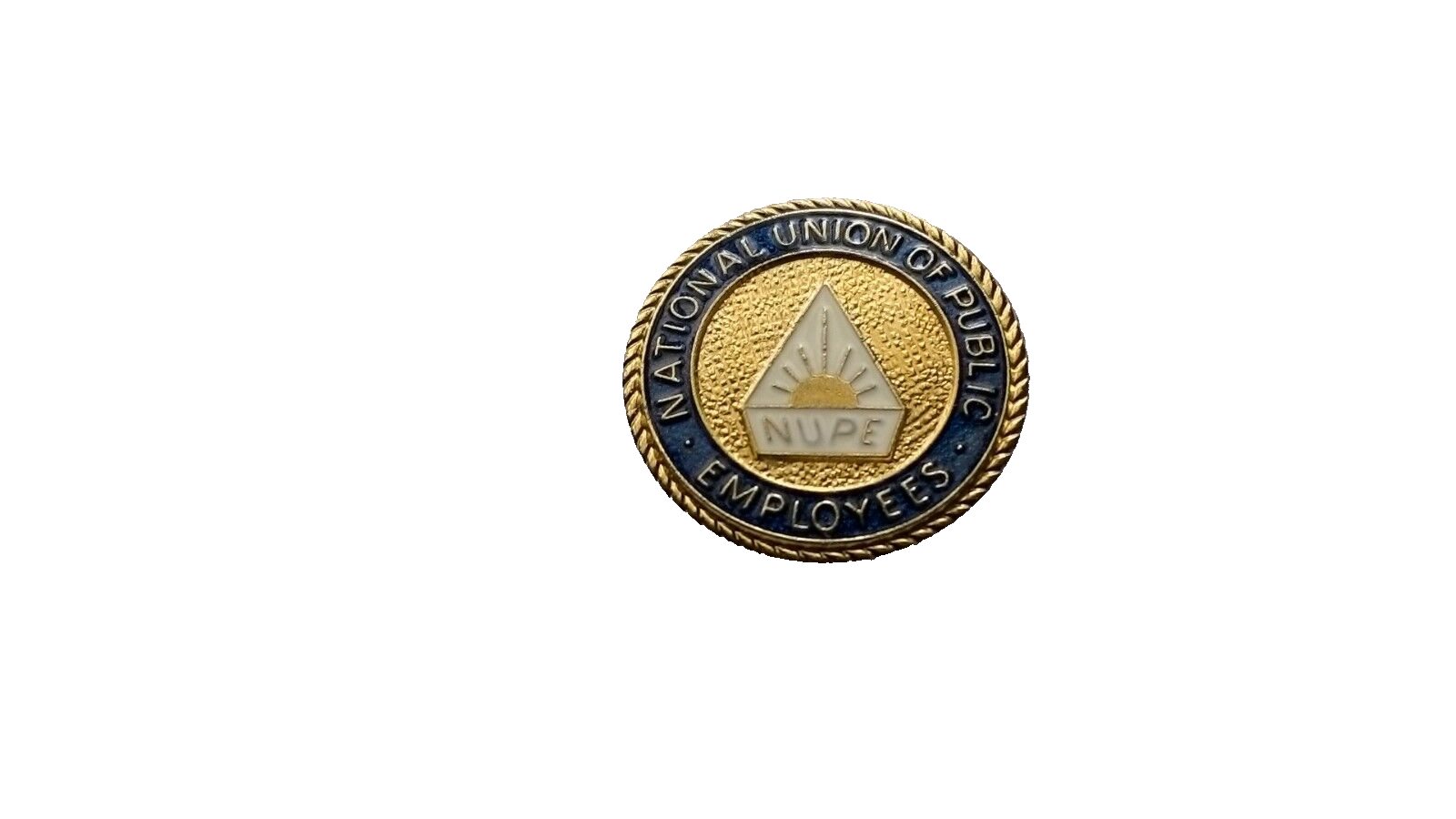 NATIONAL UNION OF PUBLIC EMPLOYEES TRADE UNION BADGE | eBay