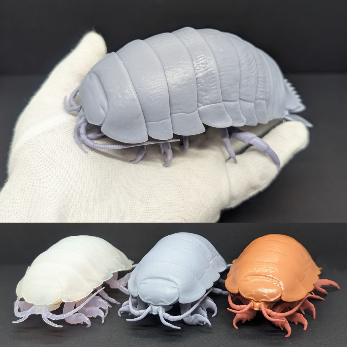 Giant Isopods Size