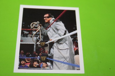 Figurine Merlin Wrestling Figure Wwf All Of Campioni 1993 N.65 Repo Man ...