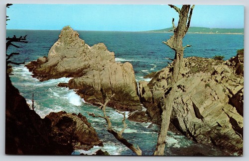 Pinnacle Point Lobos State Park California CA Vintage Postcard | eBay