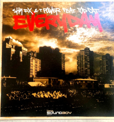 SHY FX & TOPCAT - EVERYDAY - DRUM & BASS JUNGLE D&B RAVE - 12" VINYL ...