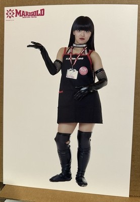 Rea Seto 2025 Marigold Joshi Wrestling Staff Portrait Photo Darkness ...