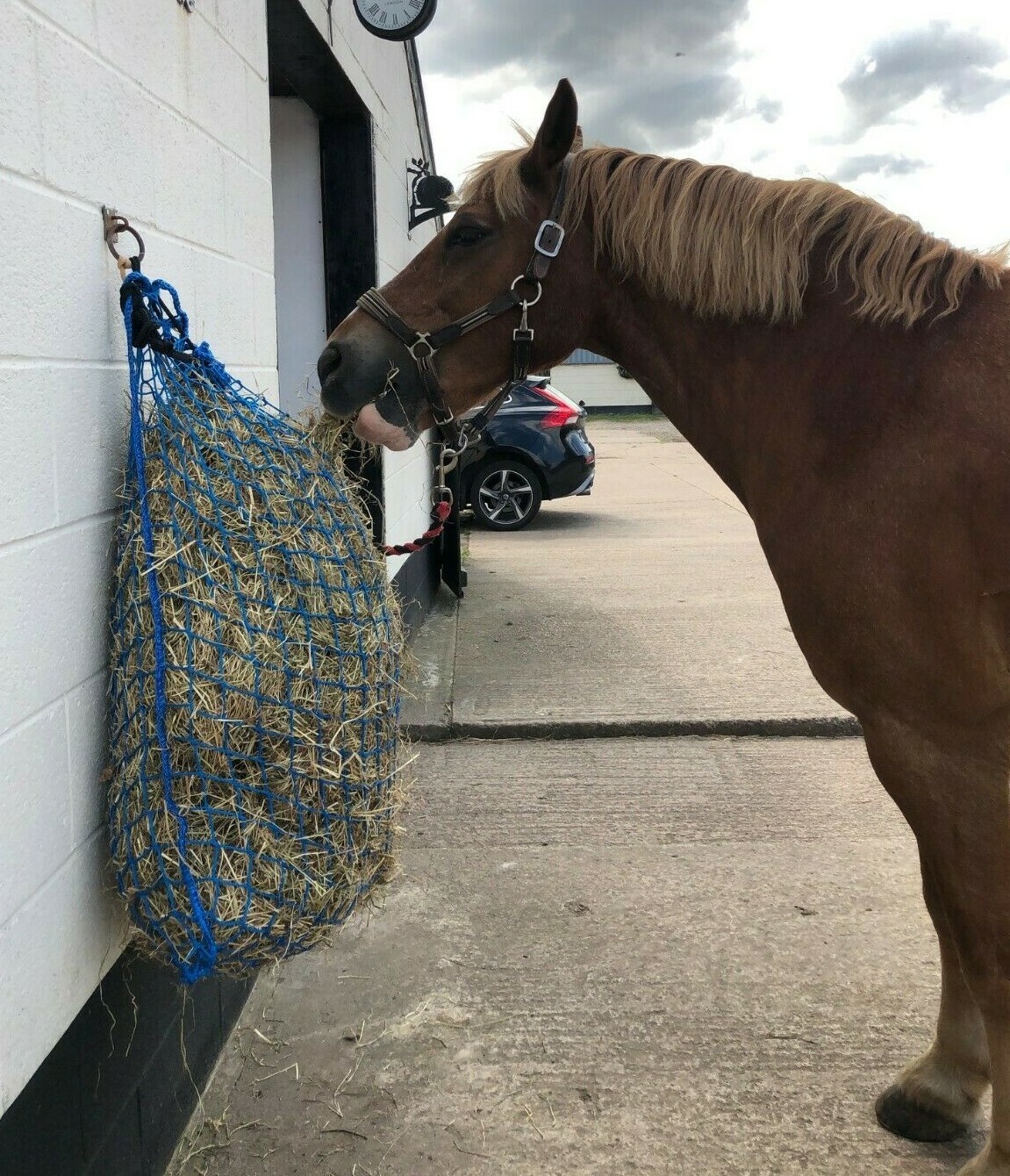 Hay Net, Large 8kg Hay Capacity, Haylage Stable Horse Feeder, Long ...