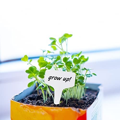 Plant Labels 100 Pack 4 Inch T-Shape Garden Markers Nursery Plastic ...