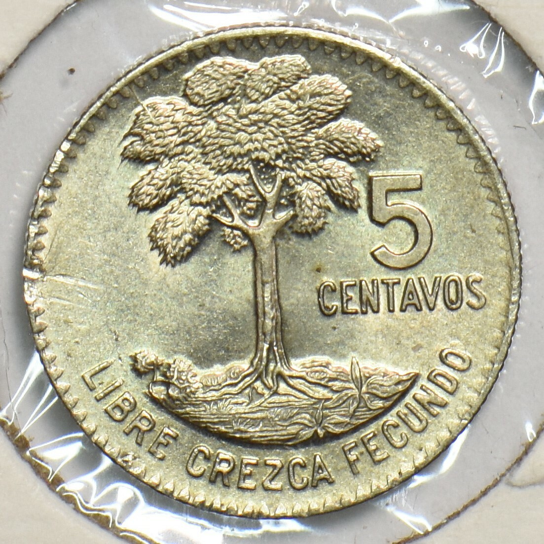 Guatemala 1967 5 Centavos Bird animal BU 298464 combine shipping | eBay