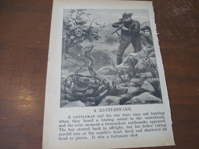1896 Art Print ENGRAVING - Old West Man SHOOTING RATTLESNAKE Snake ...