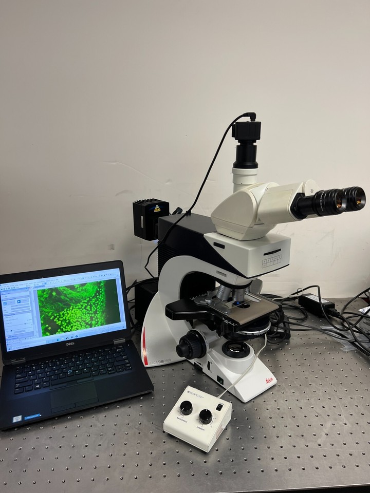 Leica DM2500 Microscope DIC Phase LED Fluorescence+ Camera and Laptop ...