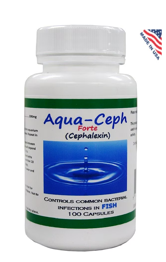 Aqua Mox Forte Amoxicillin 500mg For Fish Aquarium for sale online | eBay