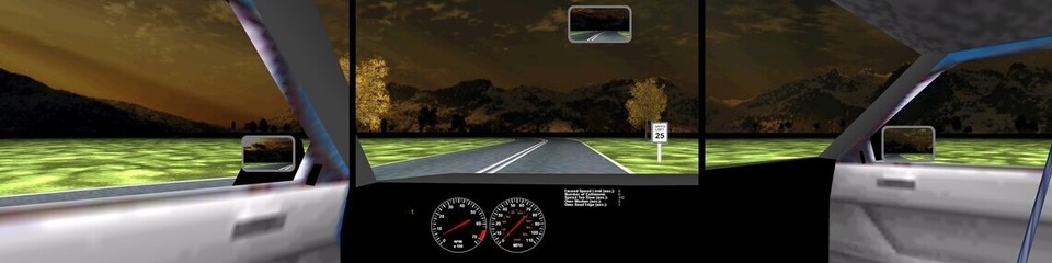 Pro Driving Simulator Software for Training and Testing - 3 Monitor | eBay