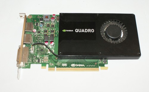 Nvidia Quadro K2200 4GB ddr5 PCIE DVI/DisplayPort x2 Graphics Card ...