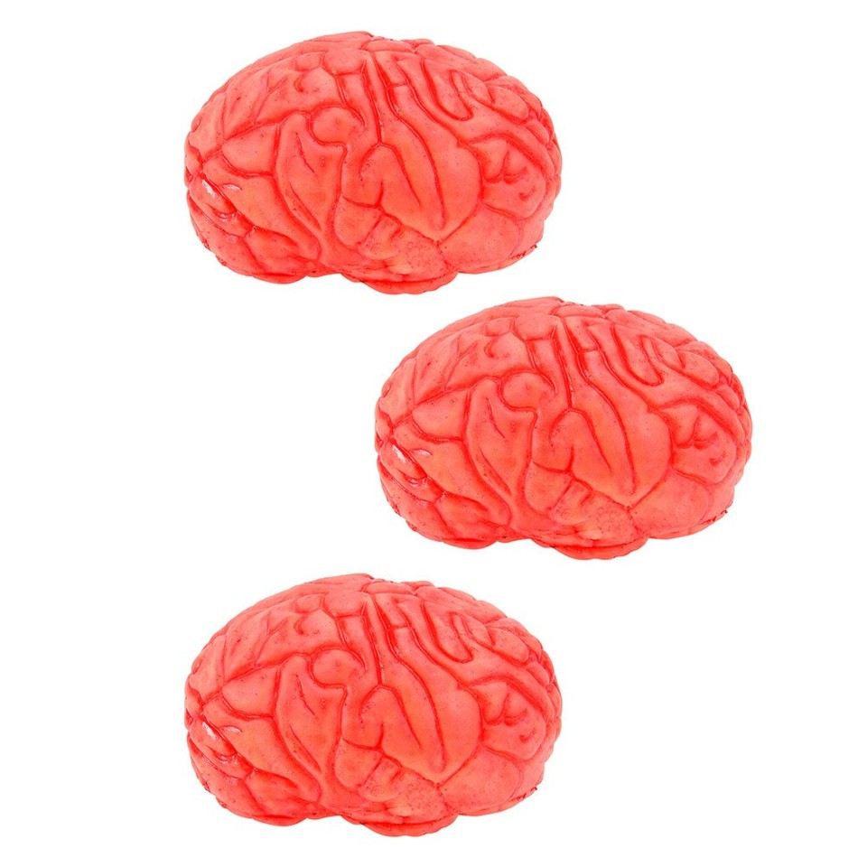 3pcs Halloween Human Brains Body Organ Parts Halloween Brain Props ...