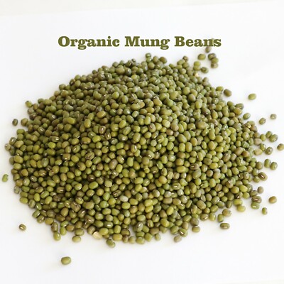 Mung Beans,Sprout-able Green Moong Frijol mongo Dry Raw, Great for ...