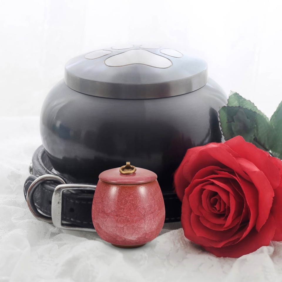 Pet Cremation Urn Memorial Funerary Urns for Pets Ceramic Keepsakes ...