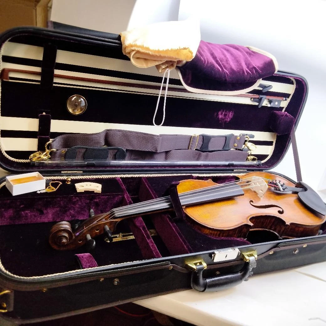 Viola Hard Case