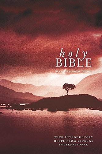 NIV Popular Bible: WITH Helps (Bible Niv) By International Bible ...