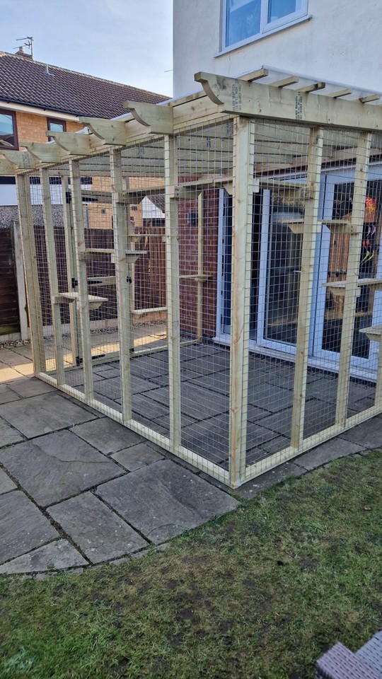 bespoke Catios and Animal Housing dog runs field shelters stables | eBay UK