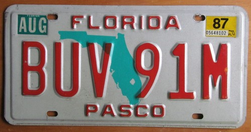 Florida 1987 PASCO COUNTY License Plate NATURAL # BUV 91M | eBay