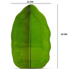 Melamine Banana Leaf Shape Plate, Pack of 12 (19 X 12 Centimeter) | eBay